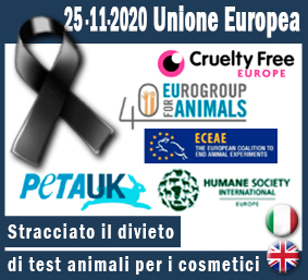 Ce este testarea pe animale: întrebări şi răspunsuri | STOP VIVISECTION